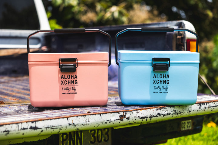 ALOHA BRINGS CHANGE – Aloha Exchange