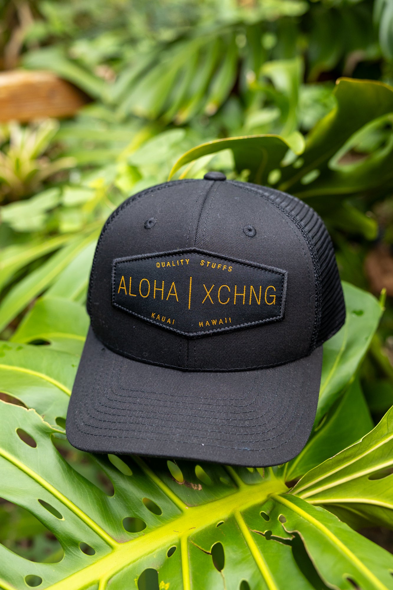 Corpo Logo Structured Trucker - Black – Aloha Exchange
